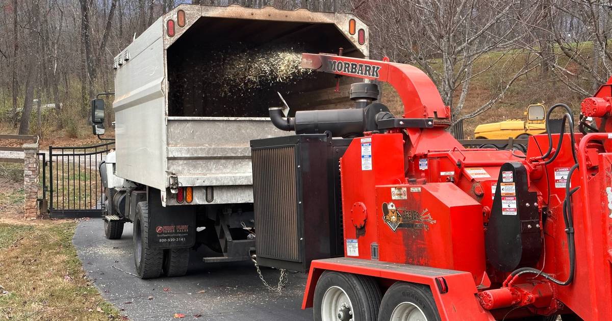 About Us | Our History | United Tree Services